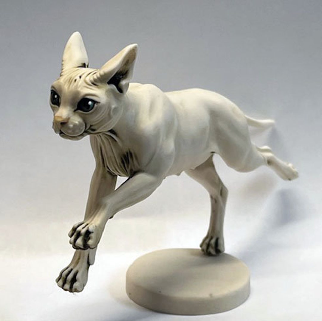 Artist Neil Eyre Eyredesigns Sphynx Cat Kitten Kitty Running Jumping ...