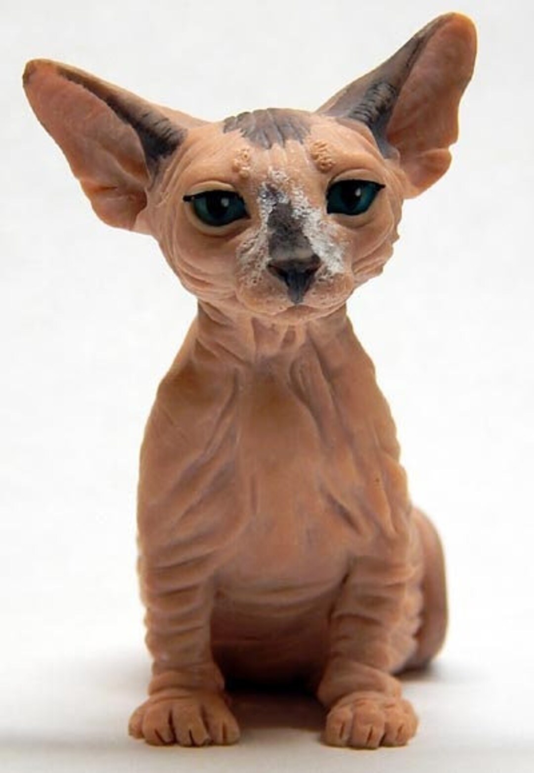 Artist Neil Eyre Eyredesigns Sphynx Cat Kitten Kitty Sitting Flesh Tone ...