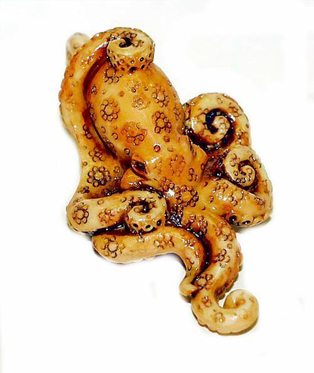 Neil Eyre Eyredesigns Sea Life Ocean Water Orange Octopus Squid 3d ...