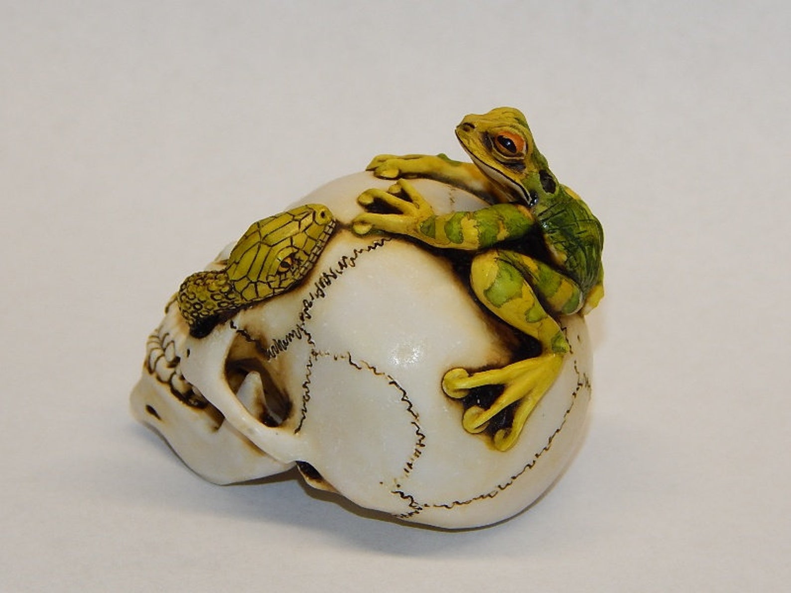 Artist Neil Eyre Eyredesigns Halloween Human Skull Tree Frog Toad Snake ...