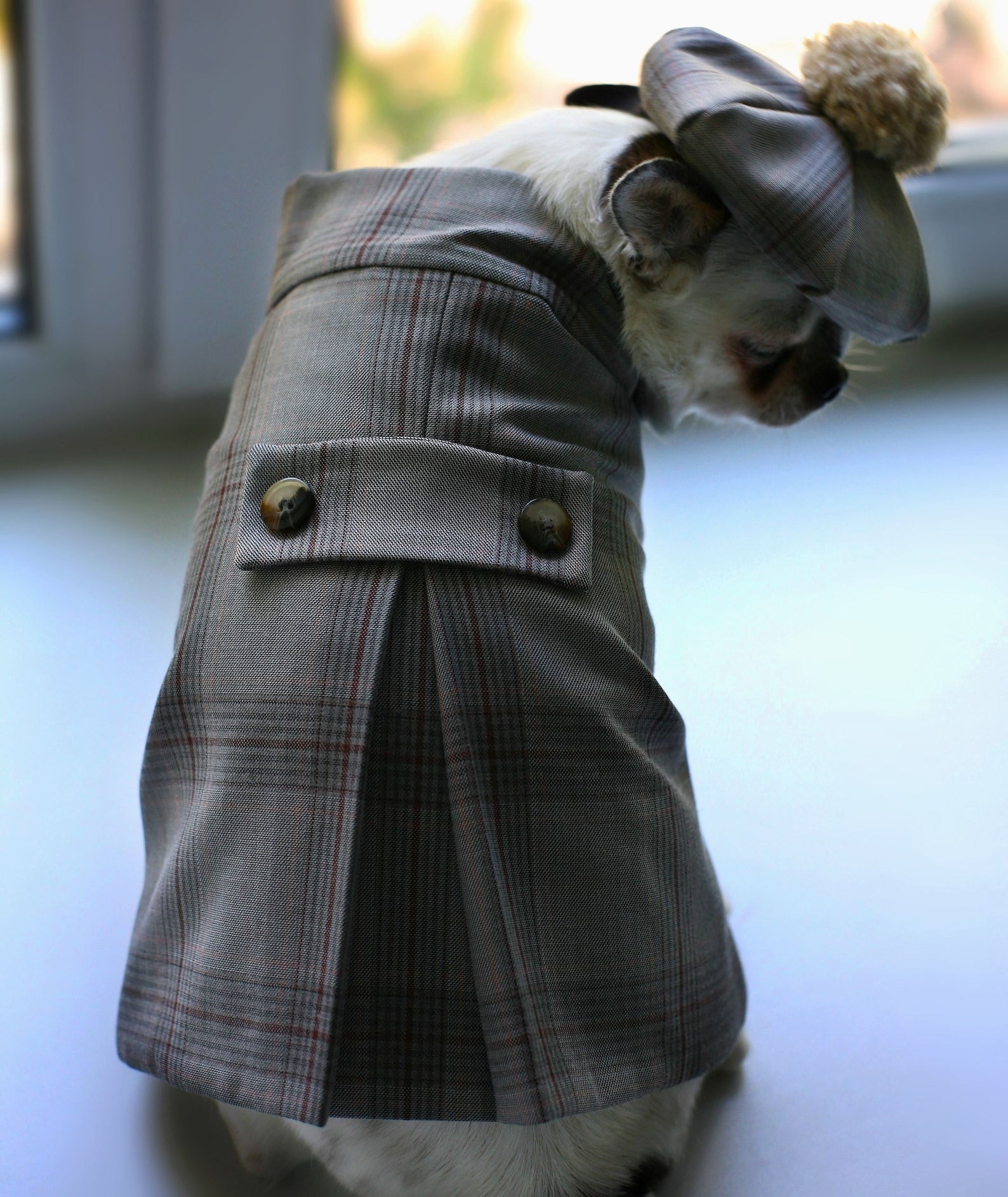 PDF Sewing Pattern: Dog Suit and Cap - No Overlock - Etsy