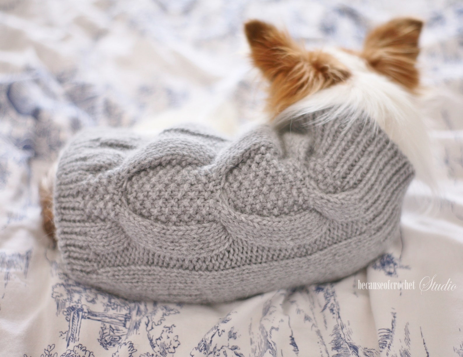PDF Knitting PATTERN Dog/cat Braided Sweater. Pet Weight 4,4 5,5 Ibs 2 ...