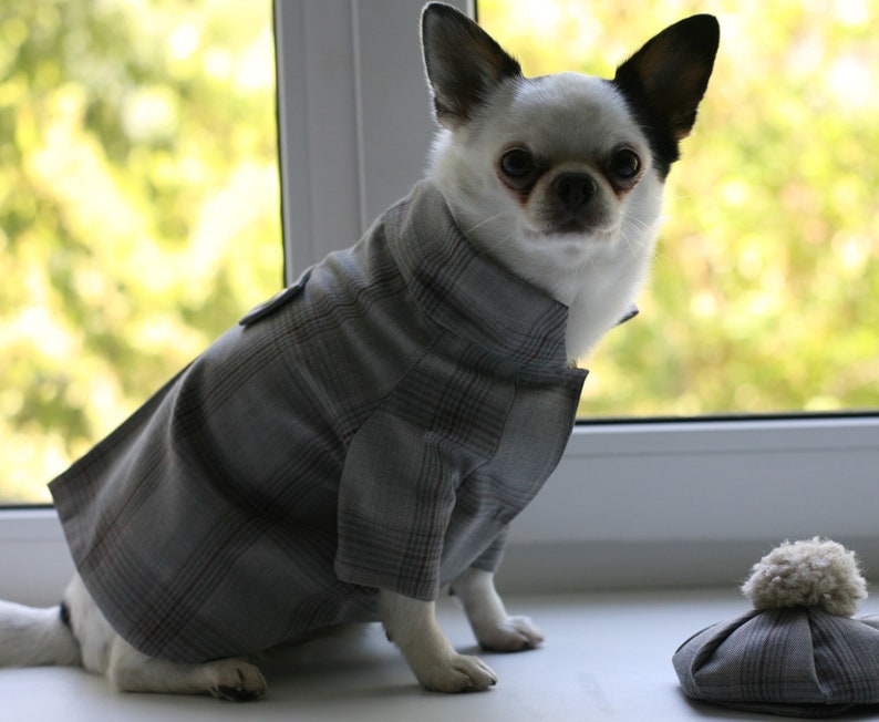 PDF Sewing Pattern: Dog Suit and Cap - No Overlock - Etsy