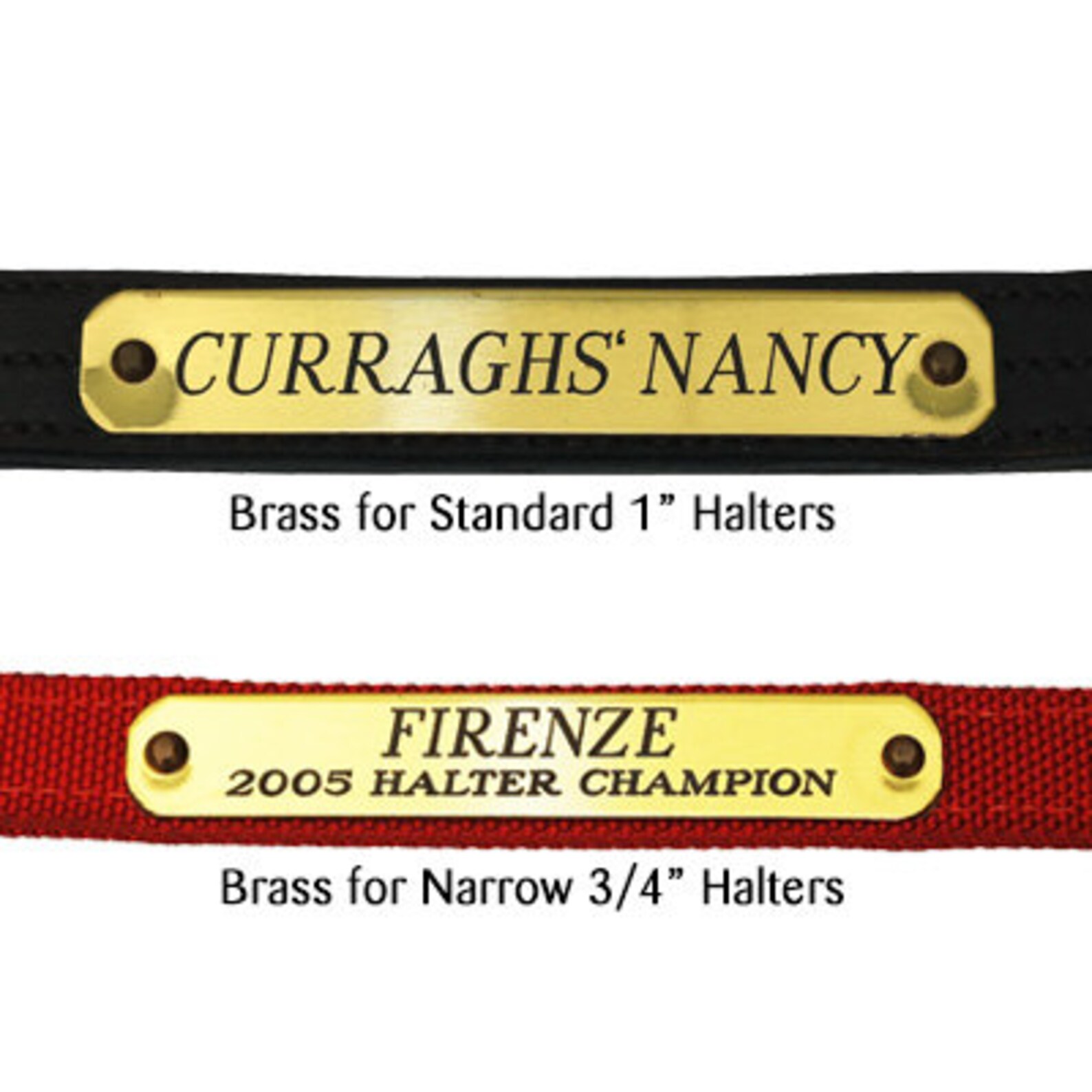 Custom Personalized Engraved Nameplates for Bridles - Etsy