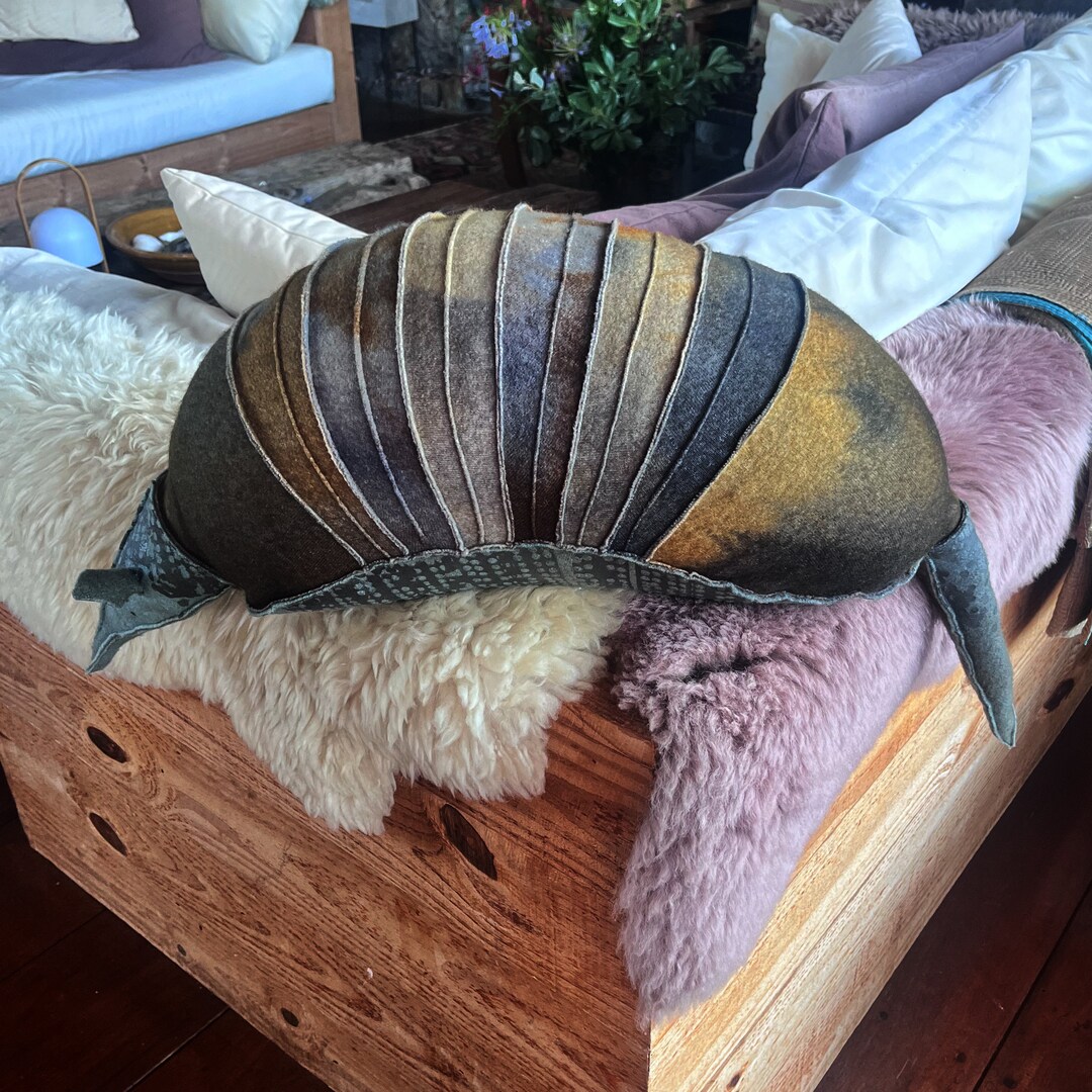 Armadillo Buddy Felted Merino Wool Home Textile, Bean Bag Cushion - Etsy