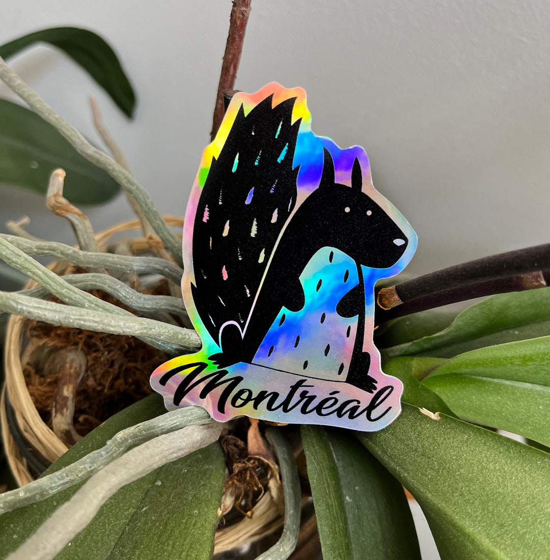 Squirrel Sticker, Iridescent Montreal Sticker - Etsy