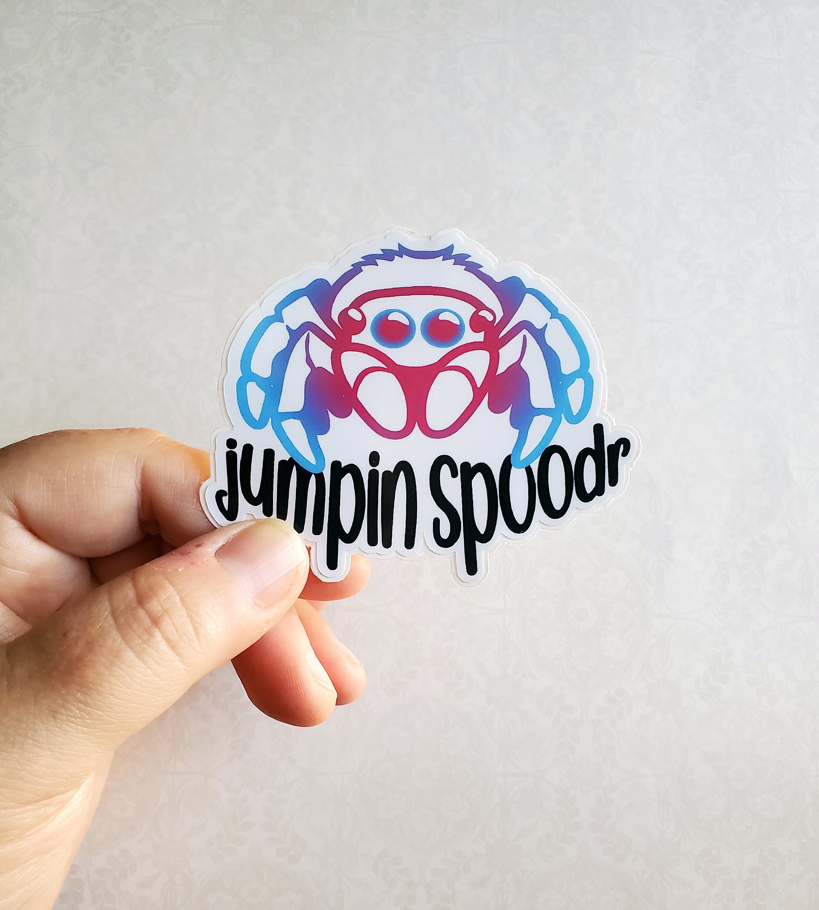 Jumping Spider Sticker Spider Decal Jumpin Spoodr Sticker - Etsy