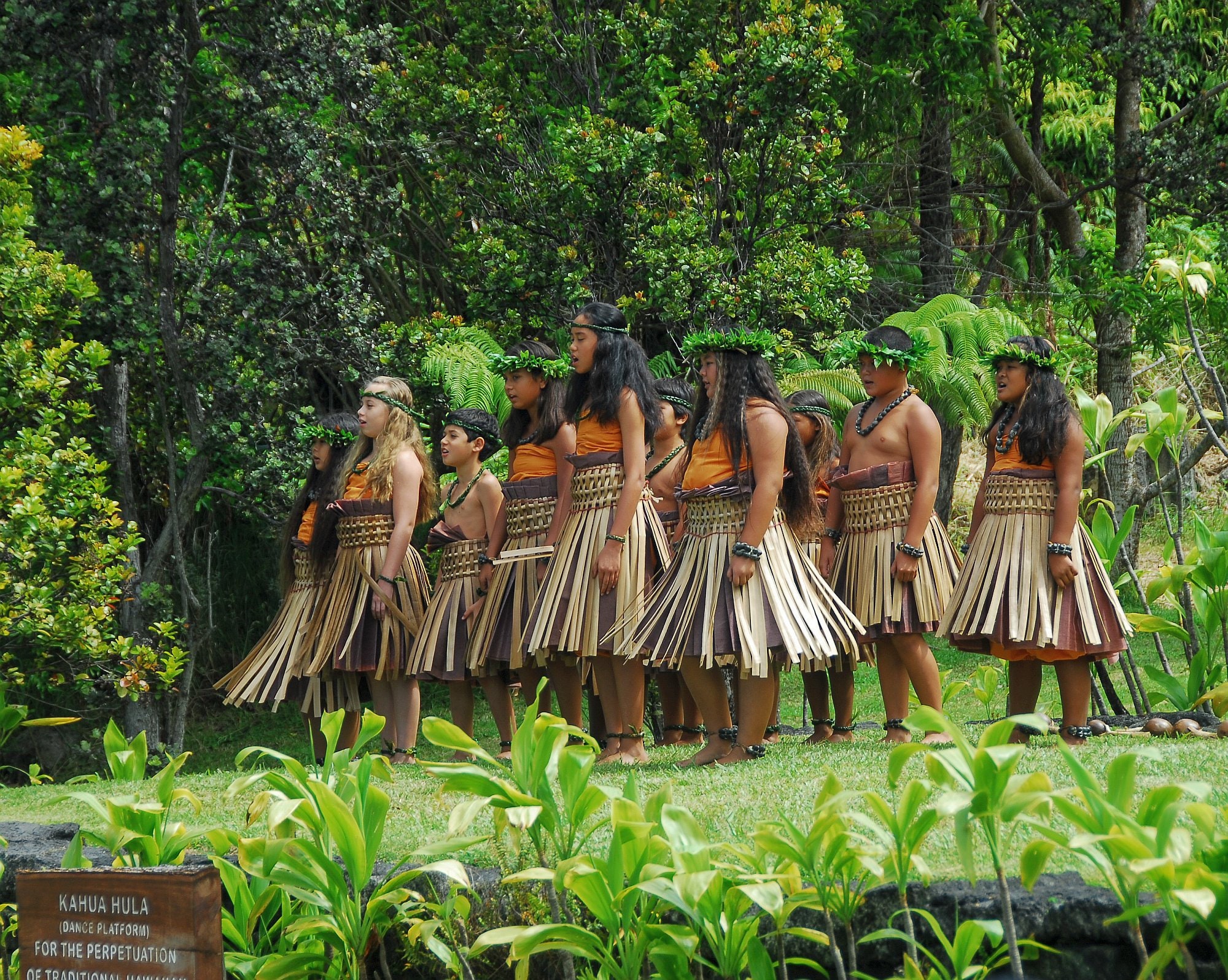 Hula Performance at the Hawaii Volcanoes National Park's 32nd Annual ...
