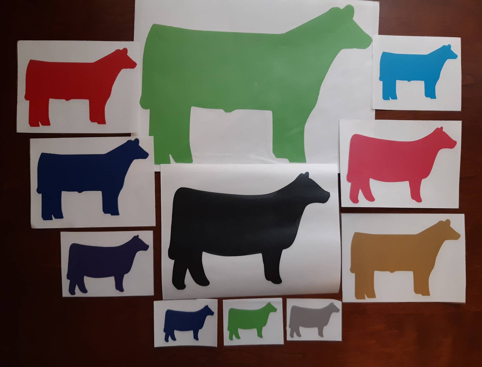Beef Steer & Heifer Decals/sticker - Etsy