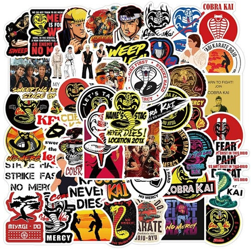Cobra Kai Sticker Pack - Etsy