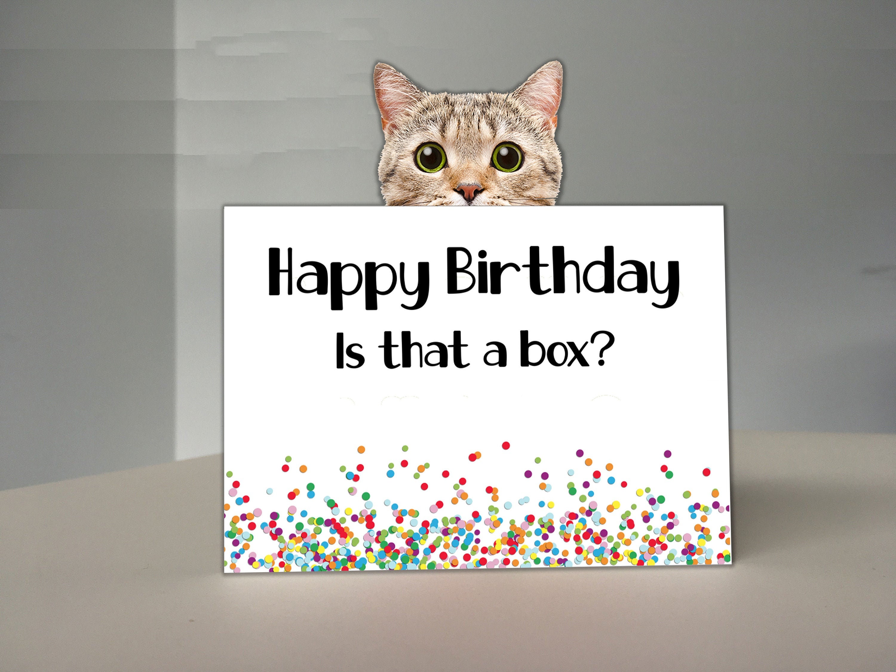 Happy Birthday Cats Pictures