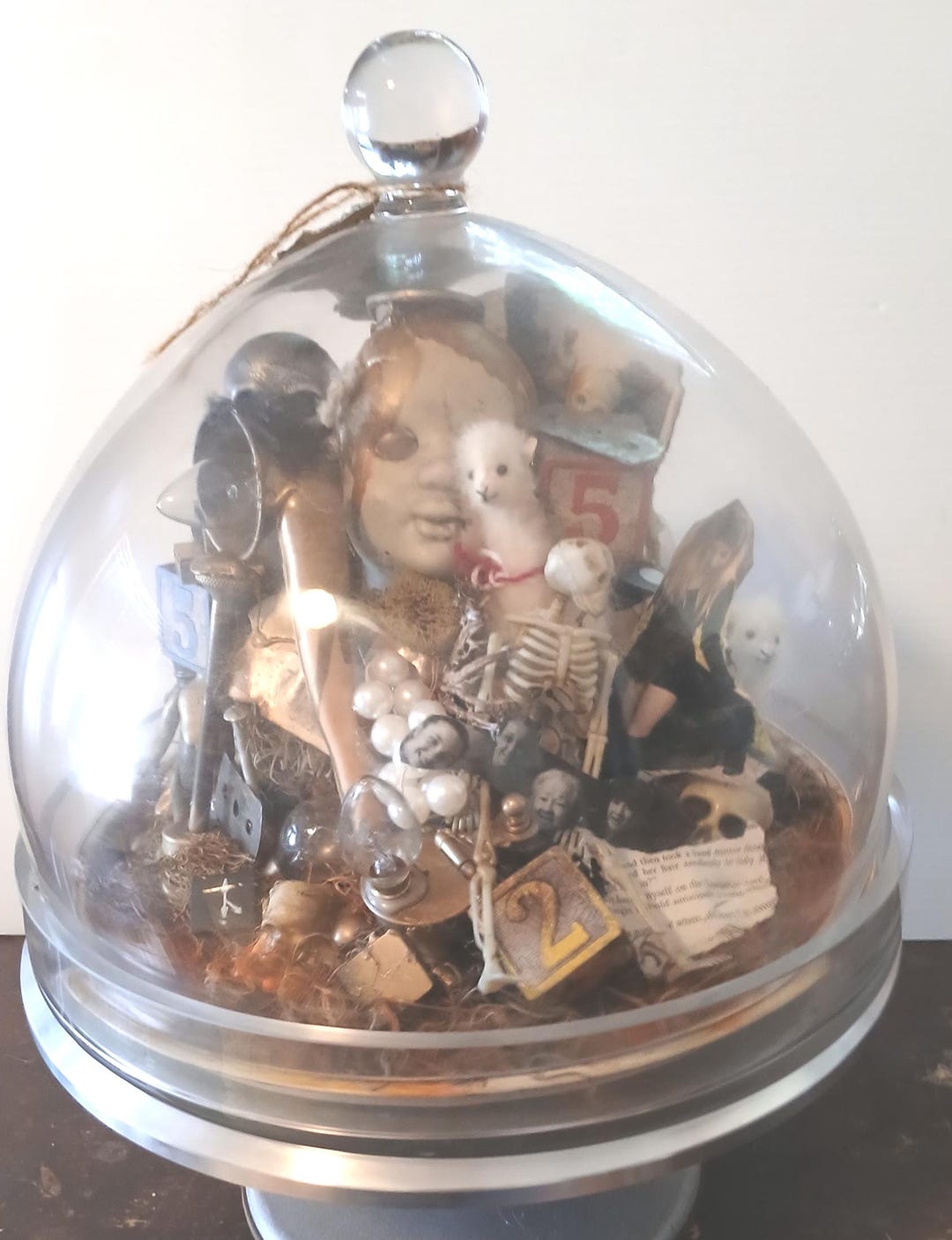 Weird Glass Cloche Art: Upcycled Steampunk Cabinet of Curiosities - Etsy