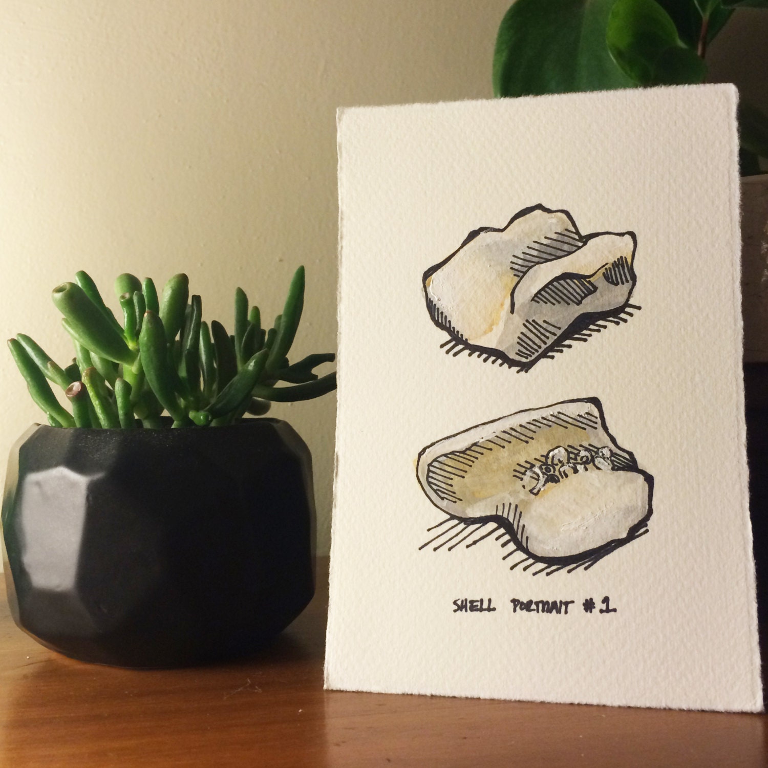 Shell Portrait No 1 - Etsy