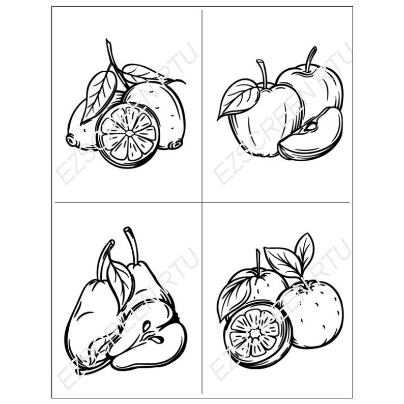 Designer Silk Screen Printing Stencil Fruit Slices Set of 4 - Etsy