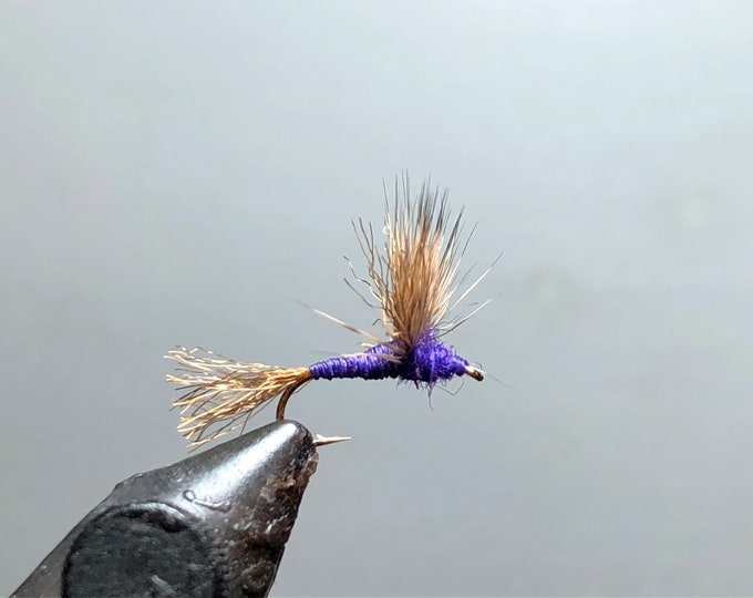 Purple Haze Sparkle Dun Dry Fly - Etsy