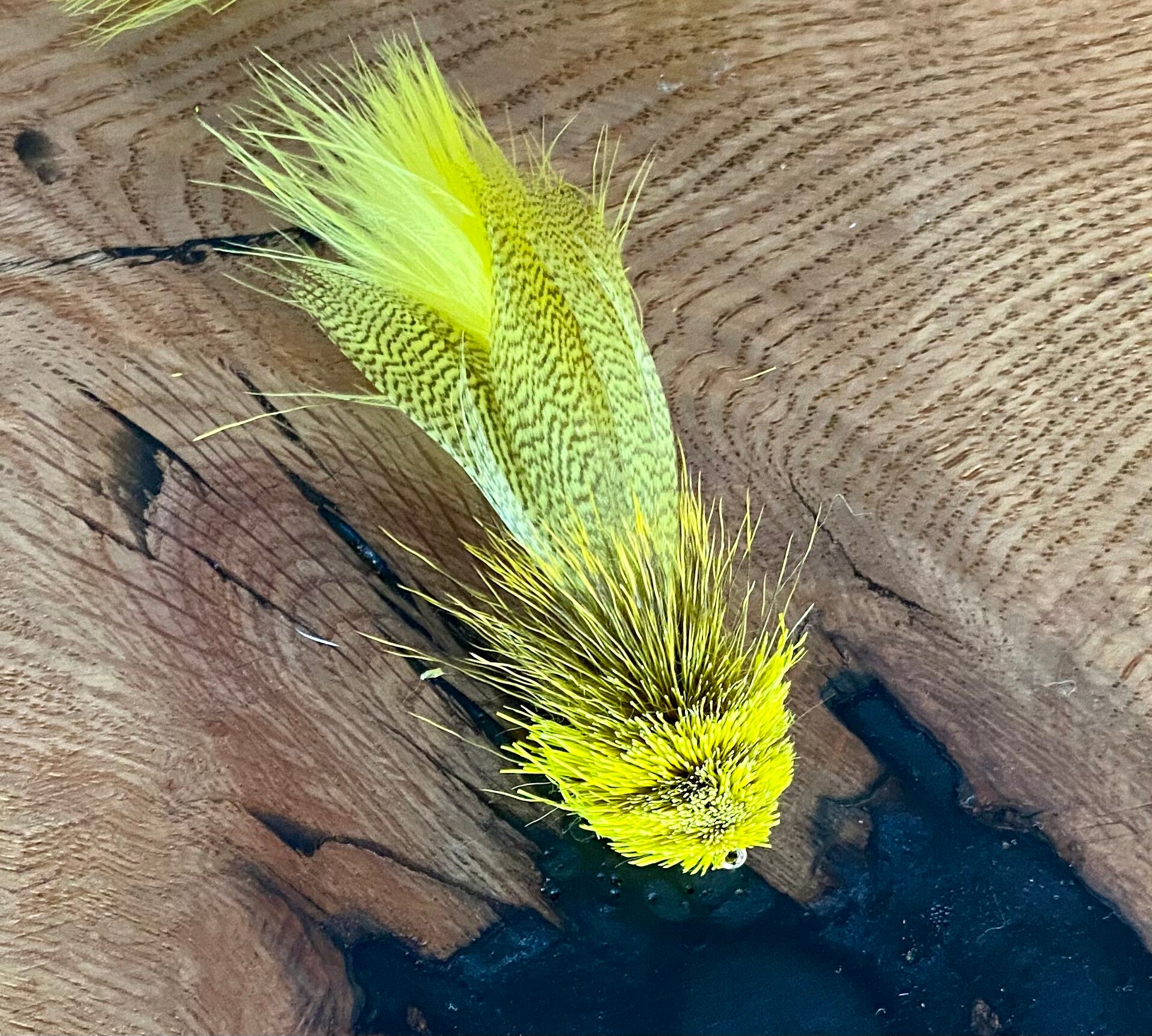 Zoo Cougar Streamer - Etsy