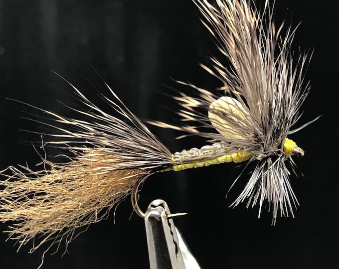 Hexagenia Comparadun Emerger/drake - Etsy