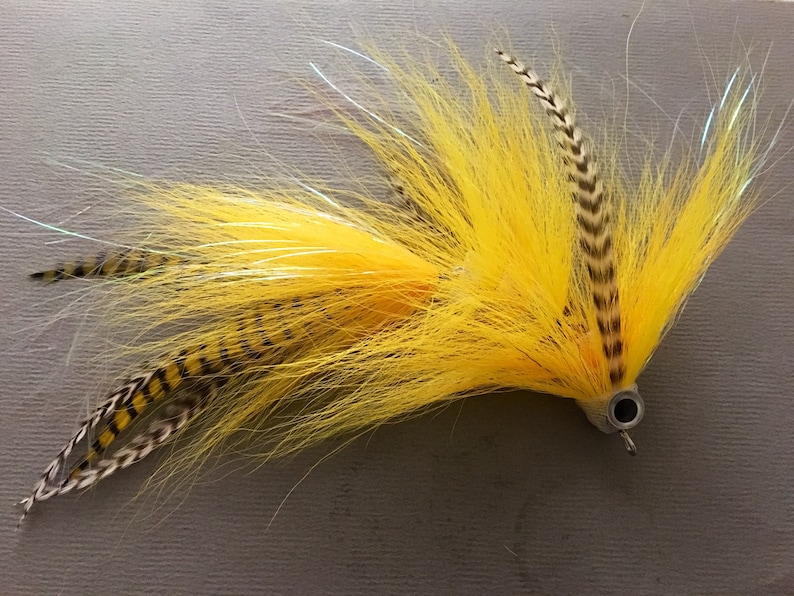 Musky Flies T Bone Variation Large Pike and Muskie Fly - Etsy Australia