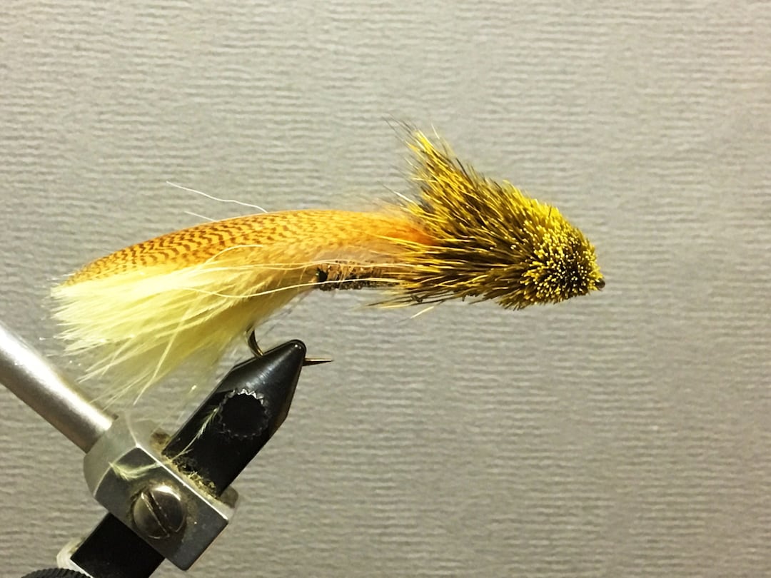 Zoo Cougar Streamer - Etsy