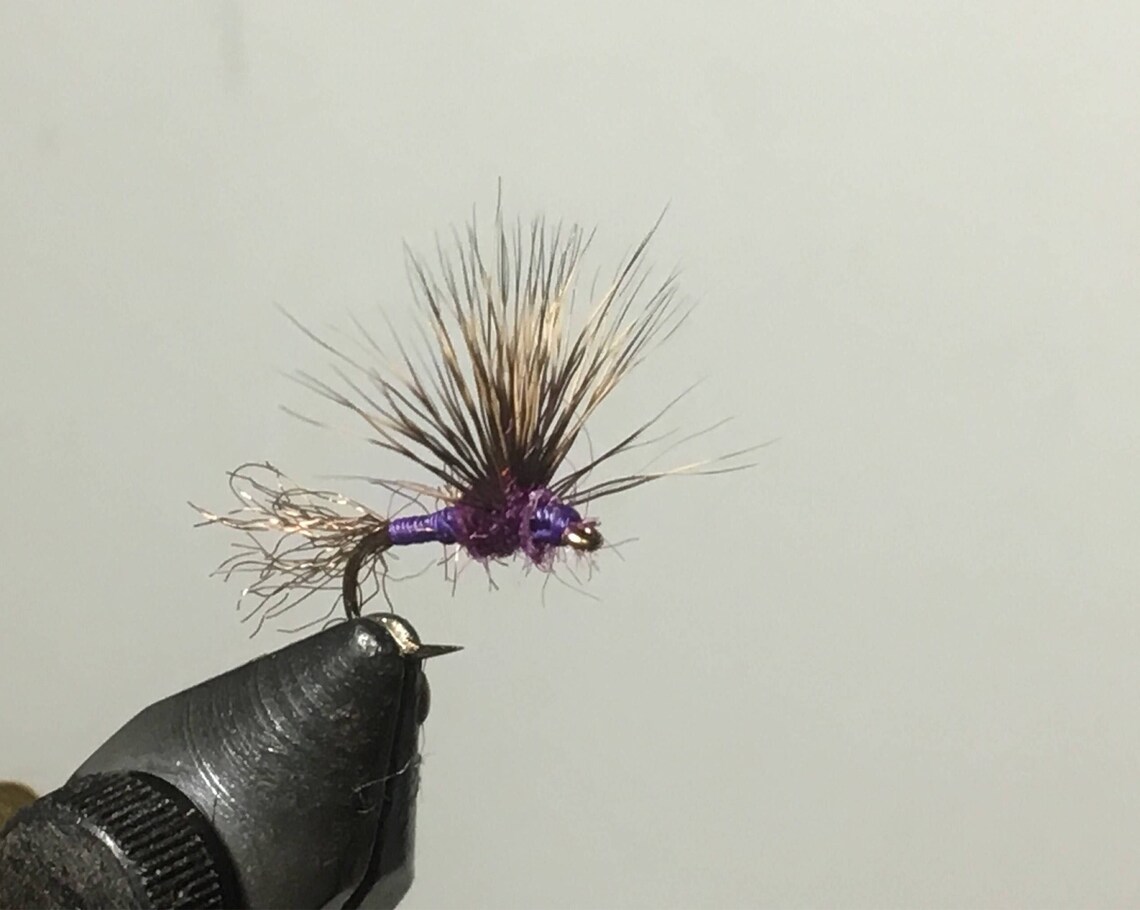 Purple Haze Sparkle Dun Dry Fly - Etsy