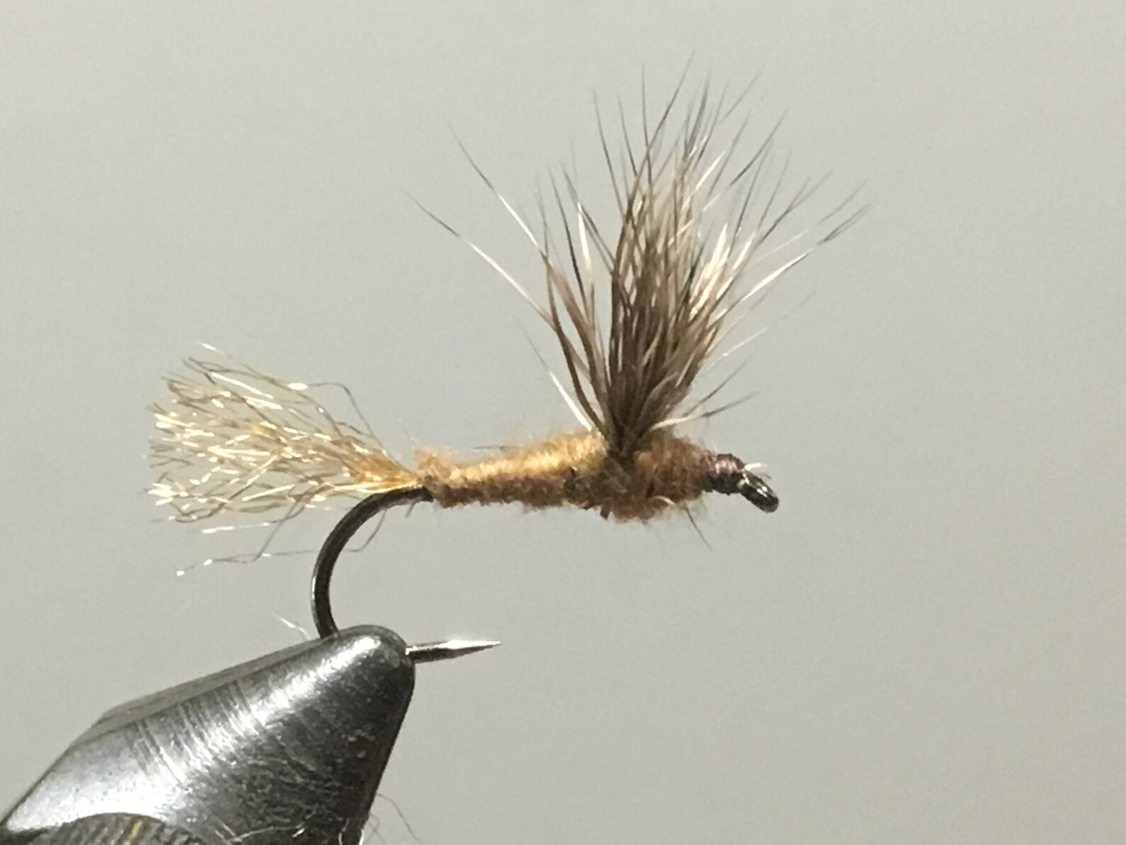 Sparkle Dun Dry Fly | Etsy
