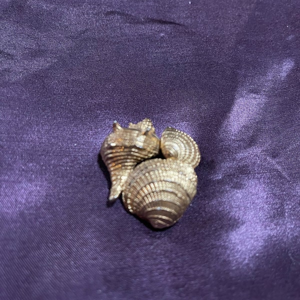 Seashell Brooch - Etsy