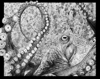 Octopus's Garden Print of Black & White Ink Illustration - Etsy