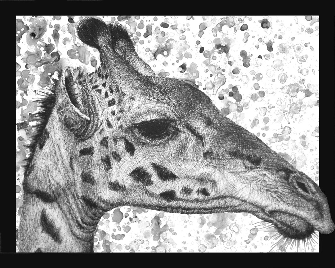 Giraffe Print: Hand-drawn Pen & Ink With Watercolor (8x10) - Etsy
