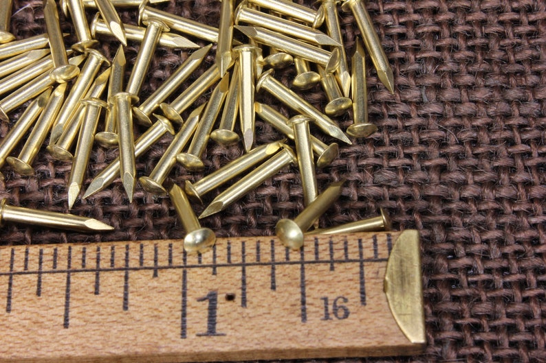 1/2 Inch Solid Brass Nails: 50 Pieces, Large Head Brads 15 Gauge ...