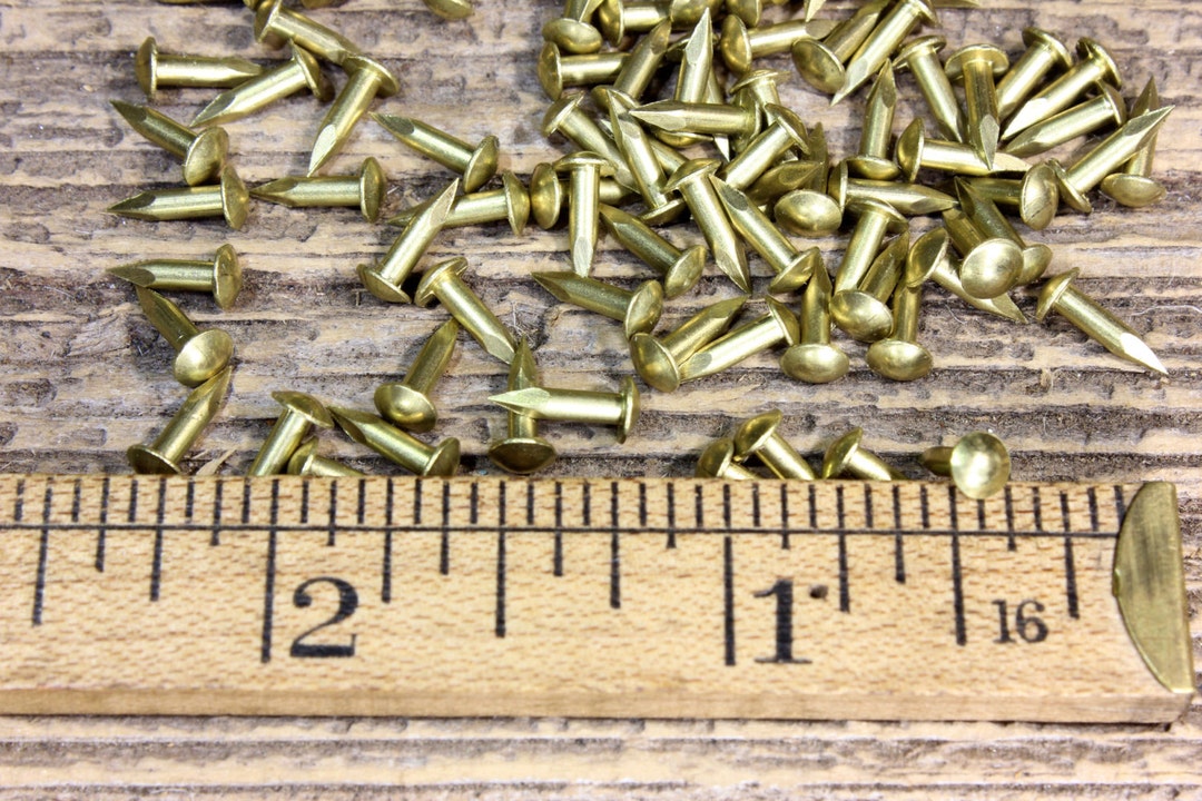 1/4” Solid Brass Brad Nails: 50 Pieces Large Head 15 Gauge Escutcheon ...