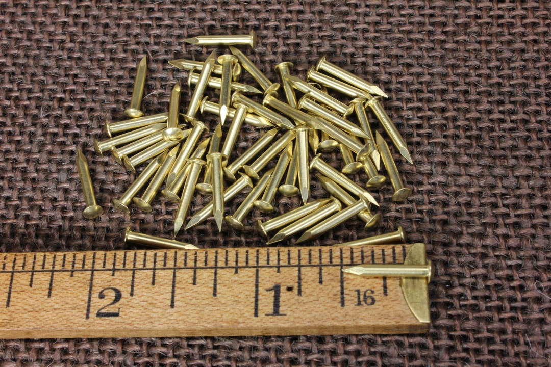 1/2 Inch Solid Brass Nails: 50 Pieces, Large Head Brads 15 Gauge ...