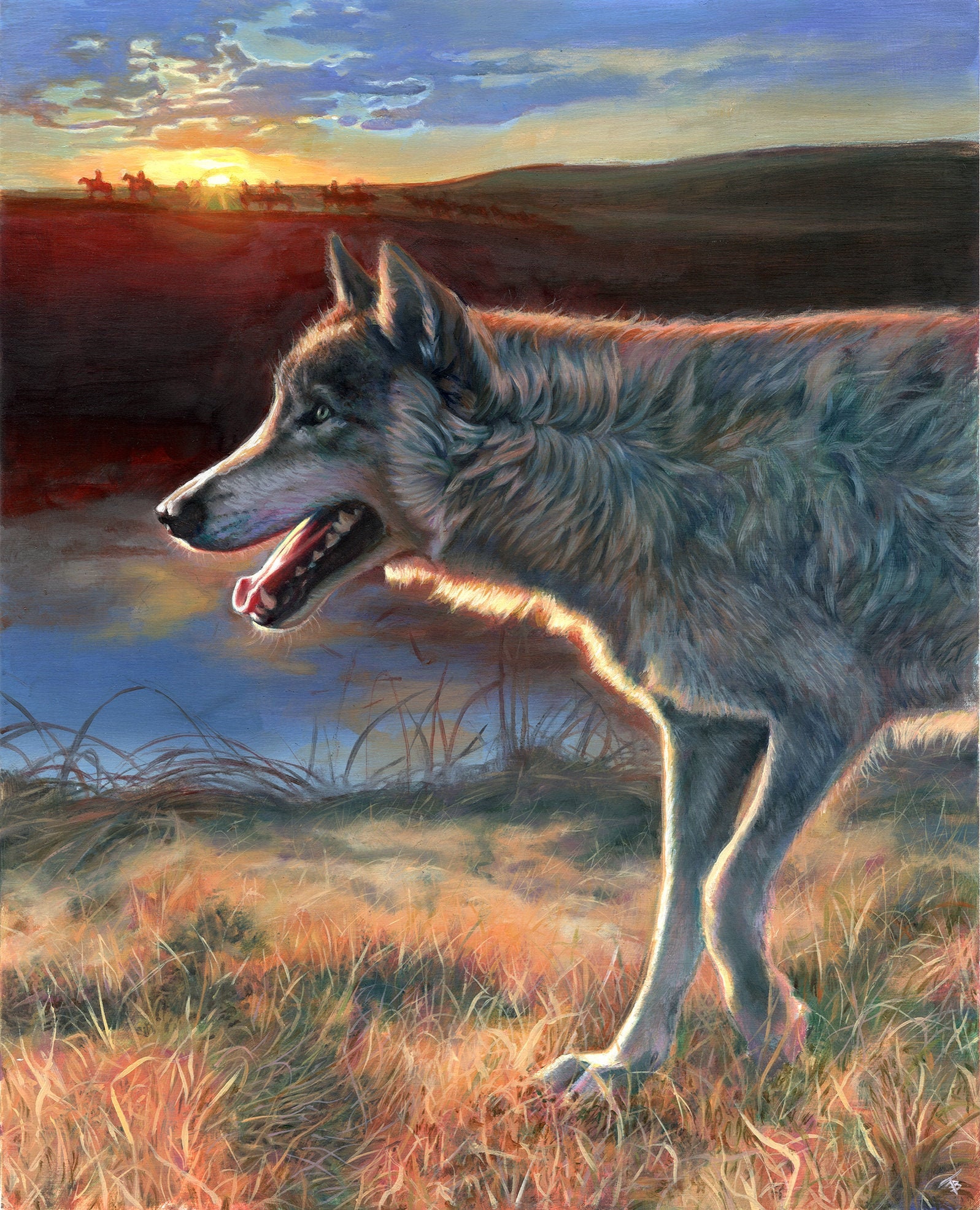 Dances With Wolves Giclee Print "two Socks" - Etsy