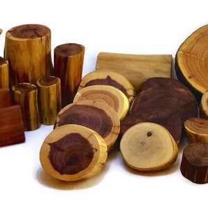 XL Tree Blocks 22pc - Etsy