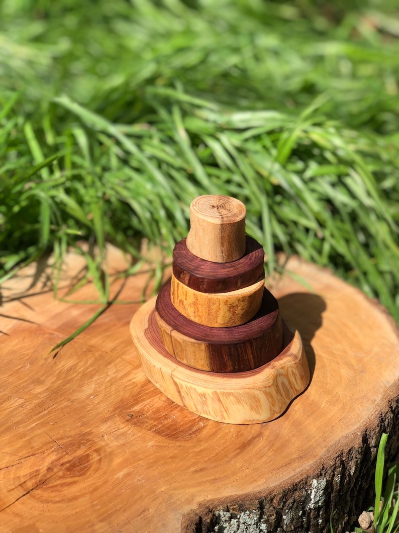 Rain Forest Tree Blocks 75 Pc - Etsy Australia