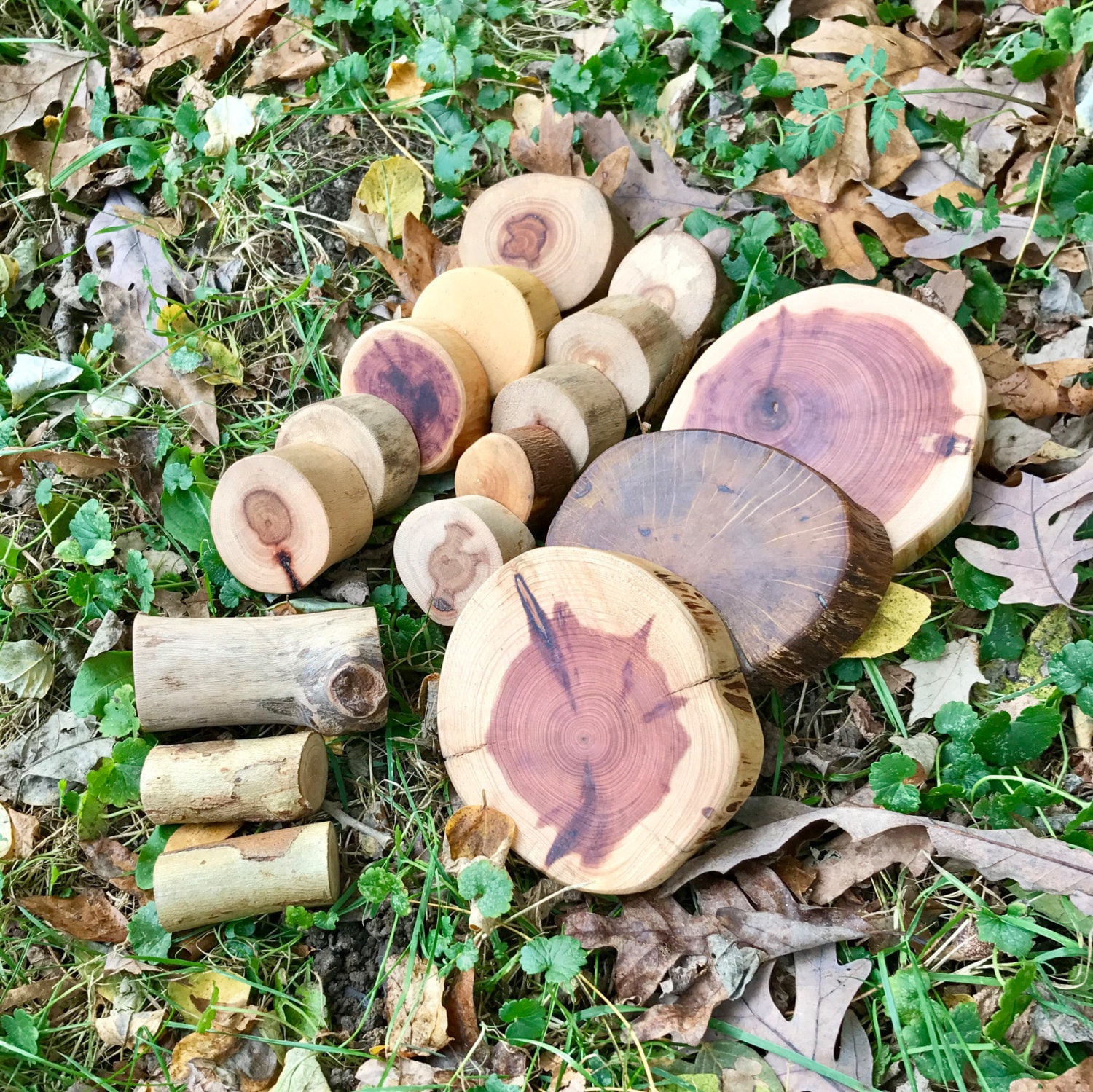 Tree Blocks 16 Piece Beginner Set Shipping Included | Etsy