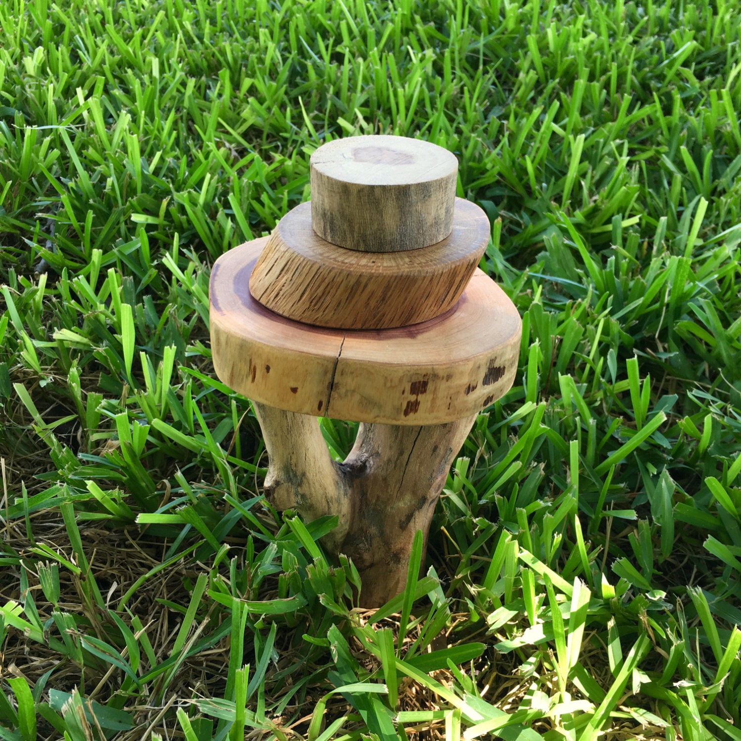 XL Tree Blocks 22pc | Etsy