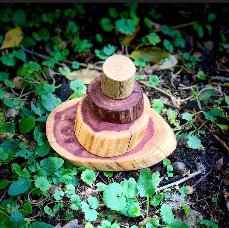 Tree Blocks 45 Piece Pro Set - Etsy
