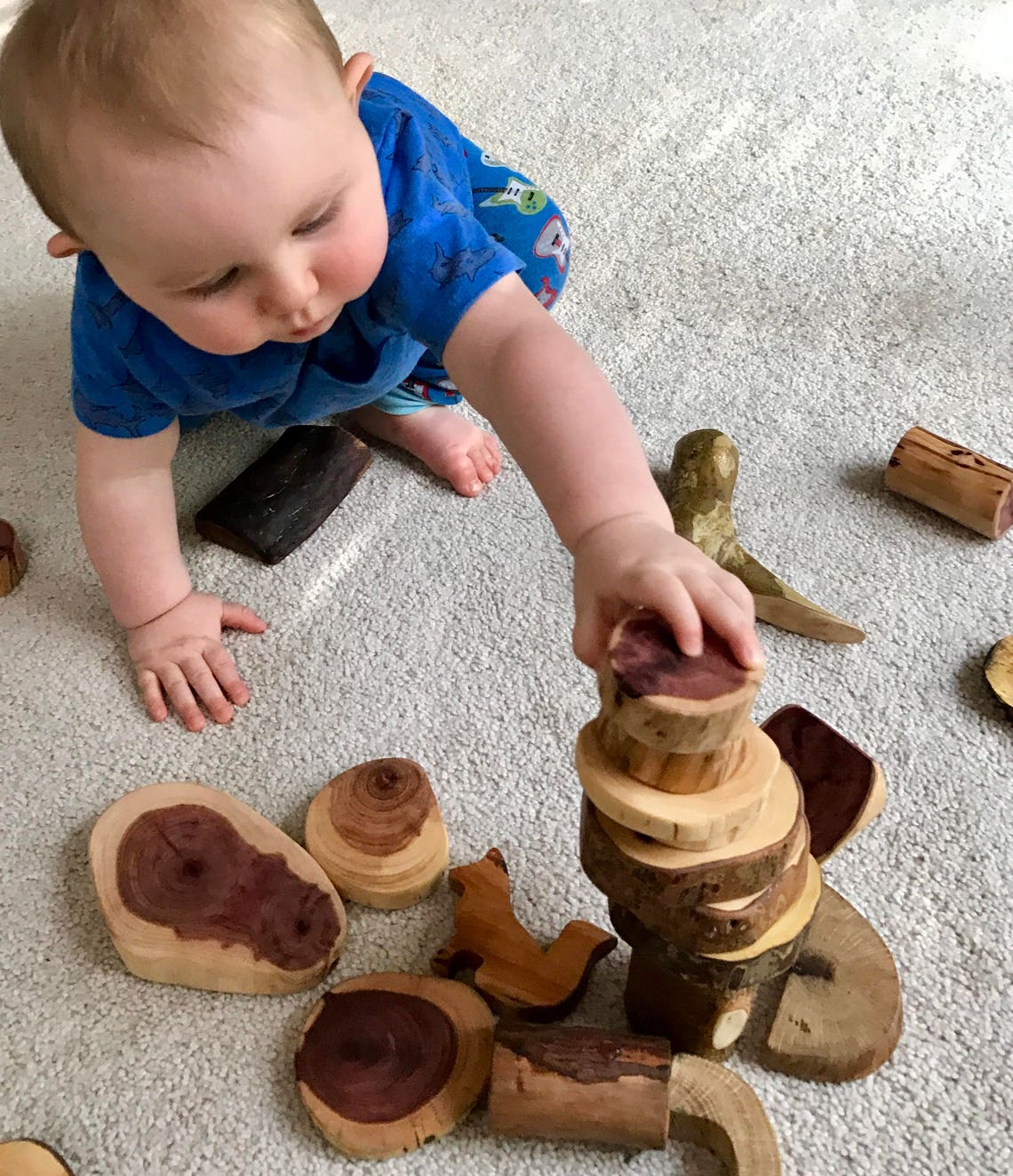 Tree Blocks Forest Friends 32pc - Etsy