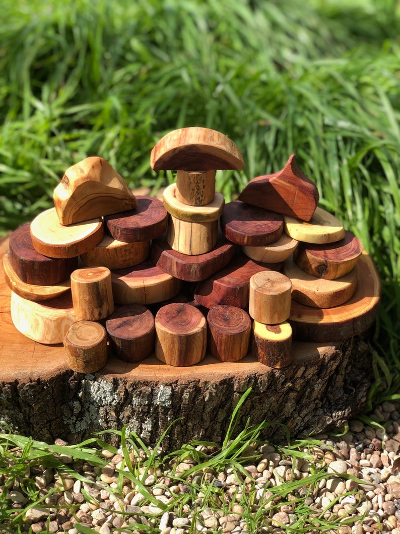 Rain Forest Tree Blocks 75 Pc - Etsy Australia