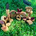 Tree Blocks Forest Friends 32pc - Etsy