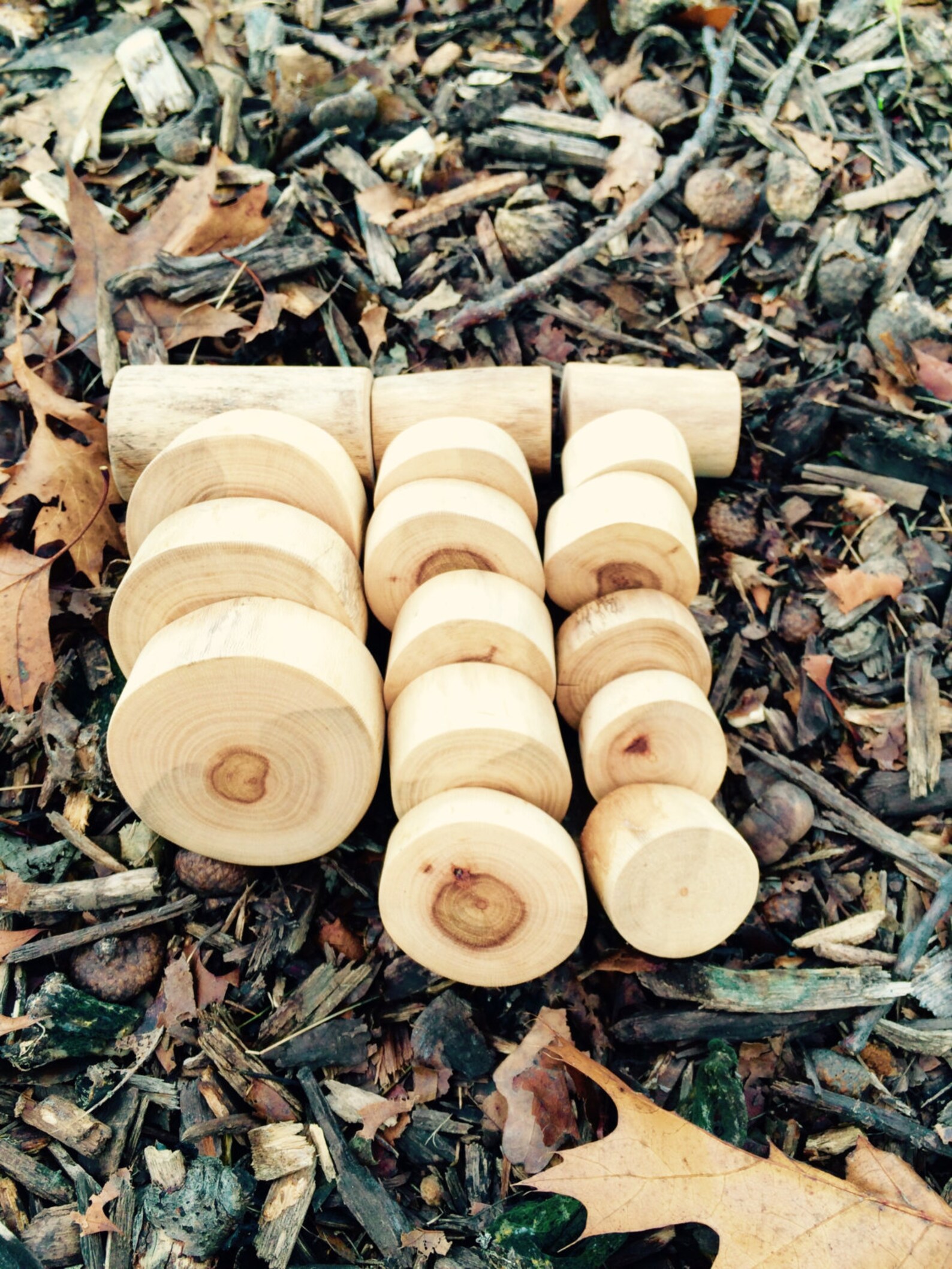 Tree Blocks 16 Piece Beginner Set - Etsy