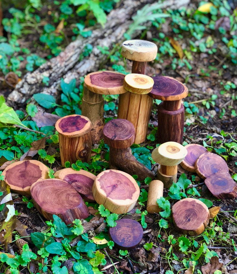 Tree Blocks 30 Piece Basic Set - Etsy