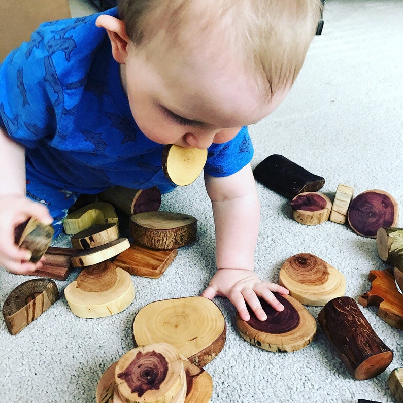 30pc Circle Tree Block Expansion | Etsy