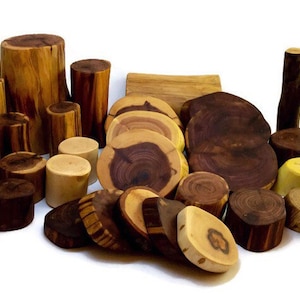 Tree Blocks 30 Piece Basic Set - Etsy