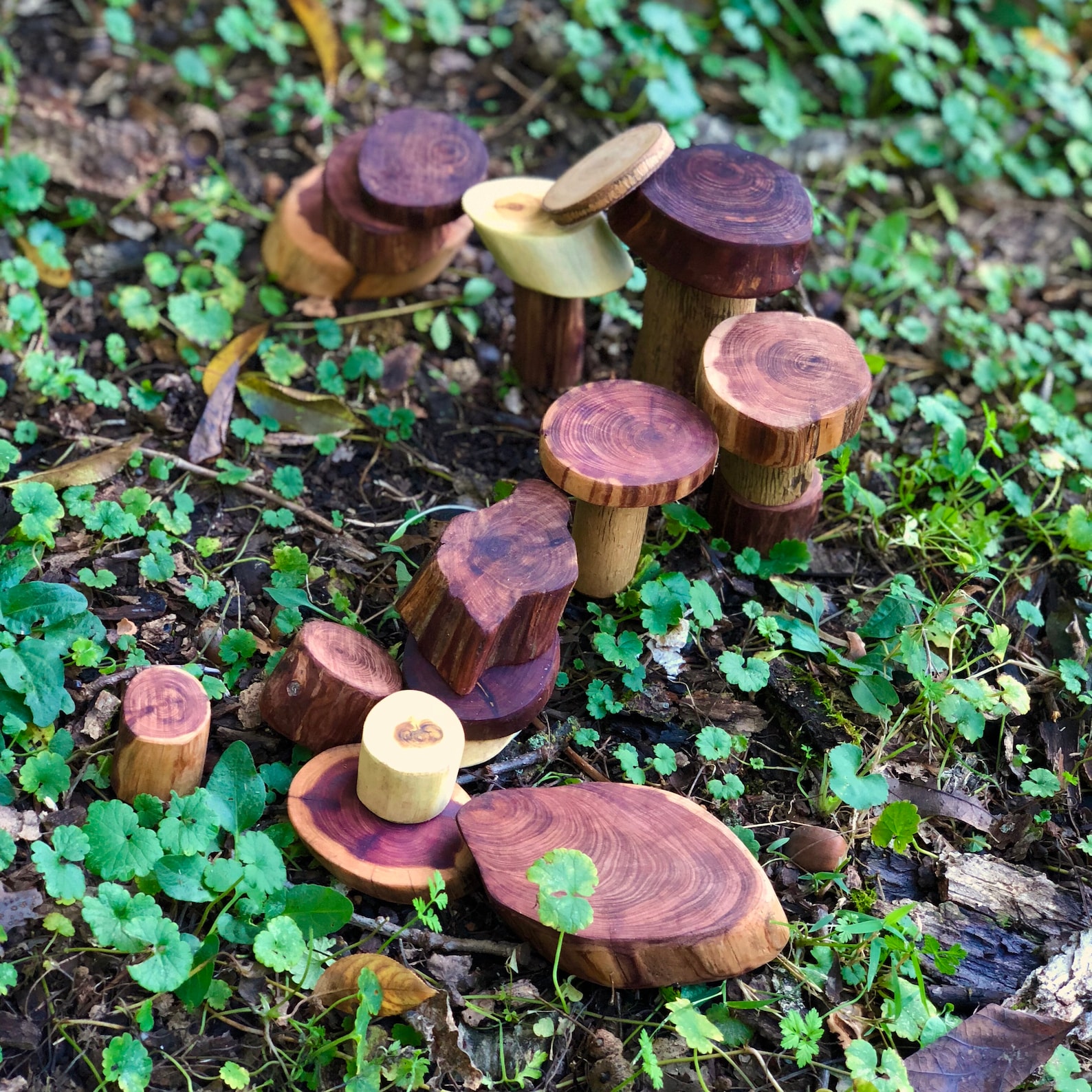 Tree Blocks 16 Piece Beginner Set - Etsy