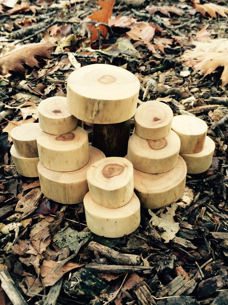 Tree Blocks 16 Piece Beginner Set | Etsy