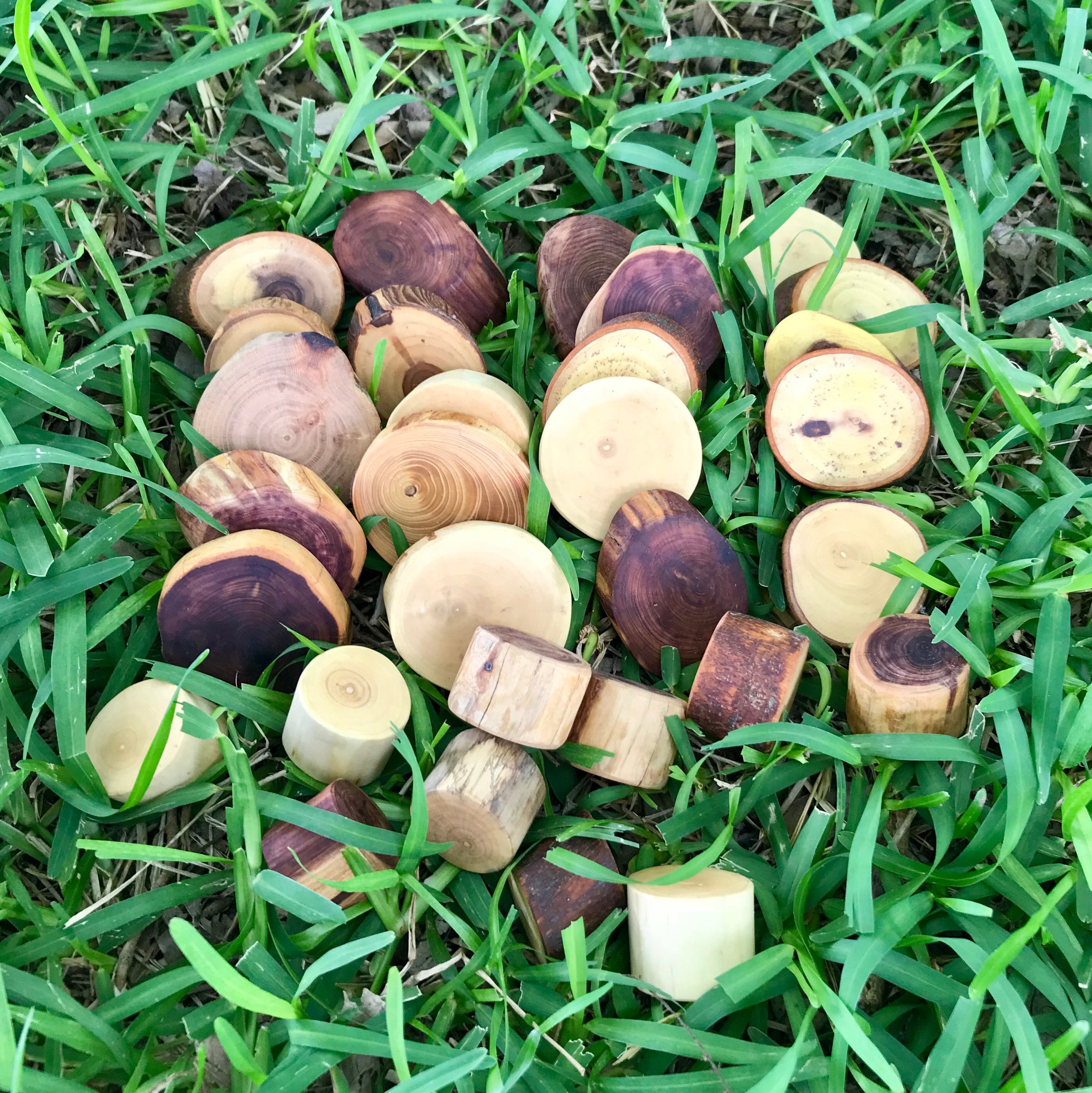 30pc Circle Tree Block Expansion | Etsy