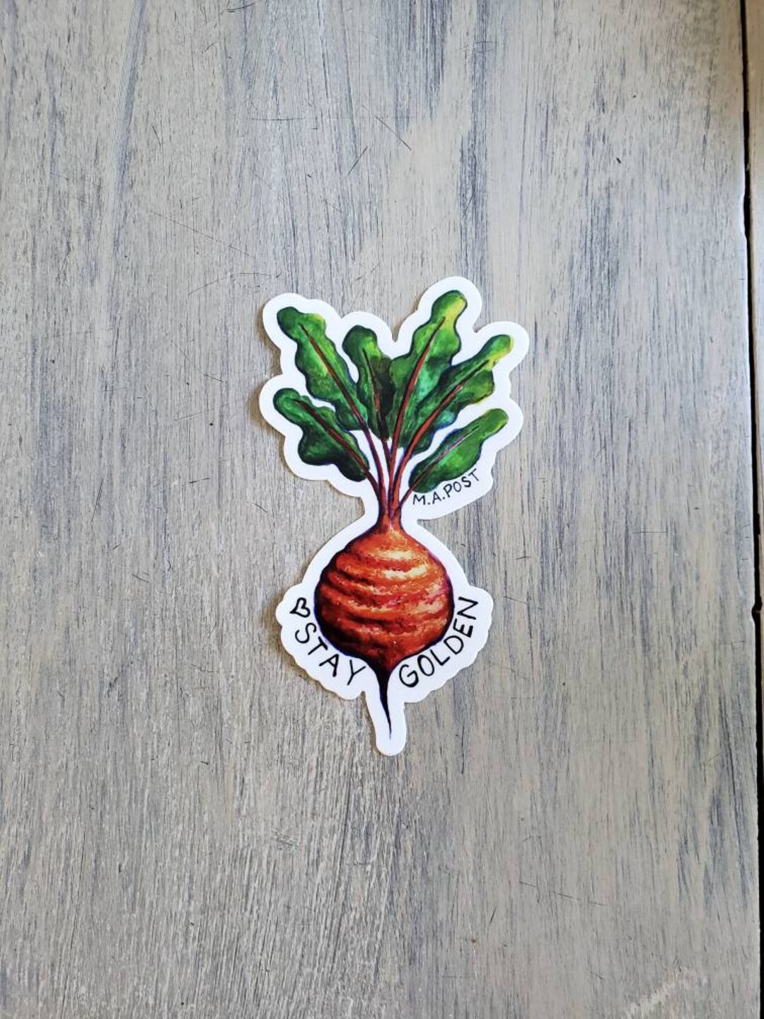 Stay Golden Beet Sticker Decal - Etsy