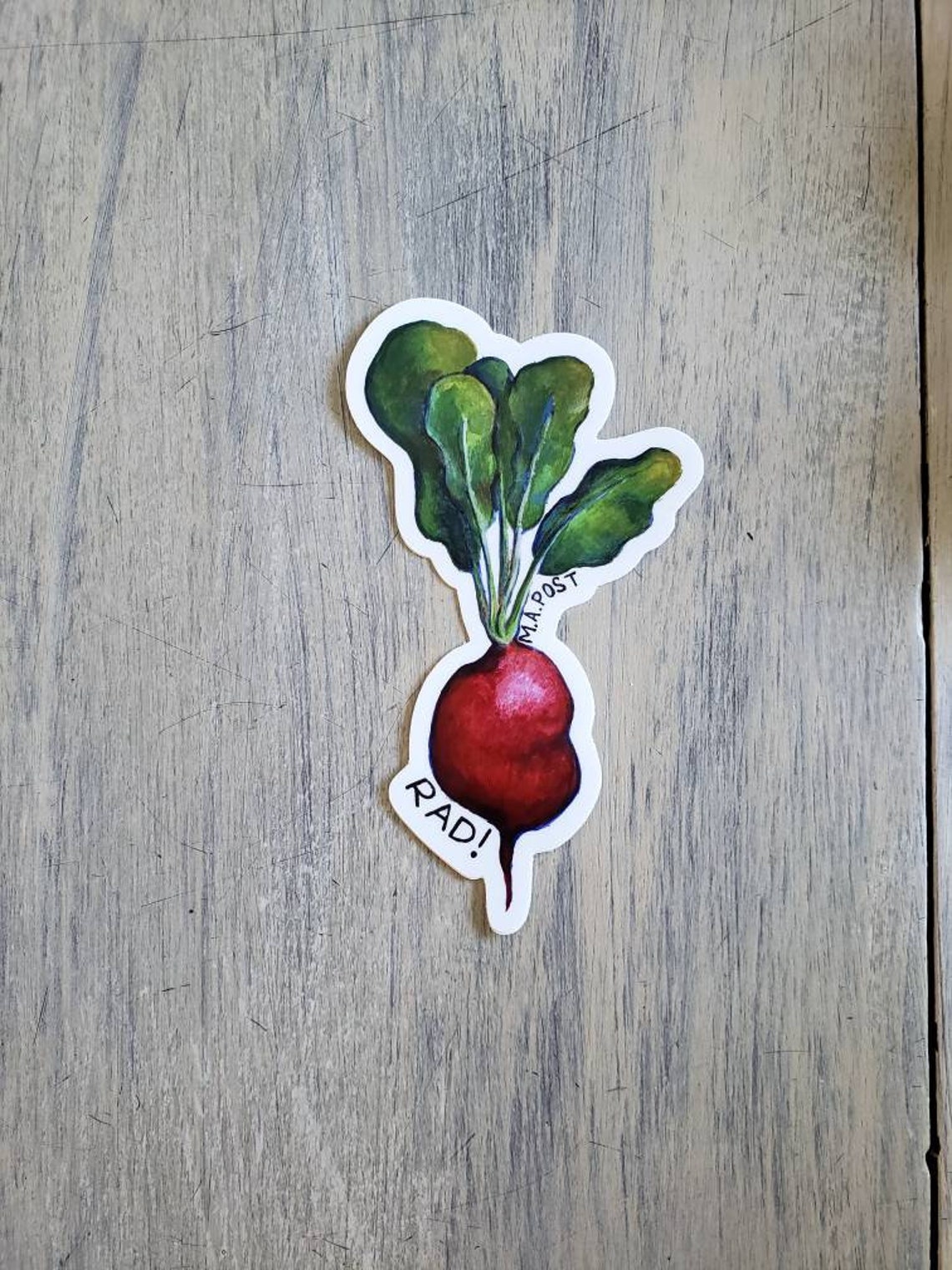 Rad! Radish Sticker Decal - Etsy