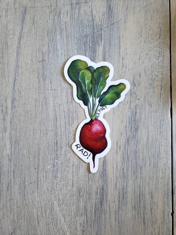 Rad Radish Sticker Decal | Etsy